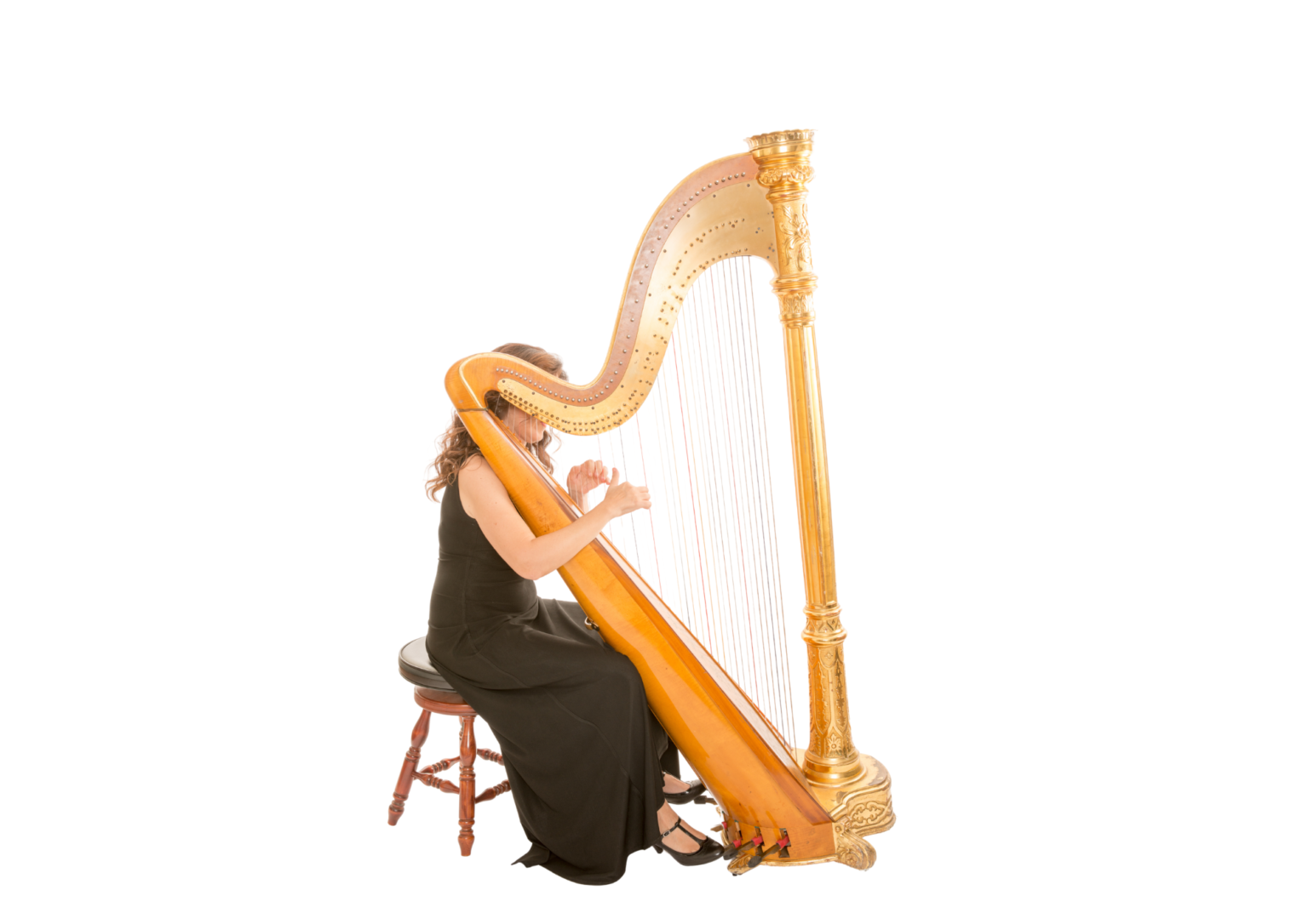 Top 10 Hardest Instruments to Learn and Why: Everything You Need to ...